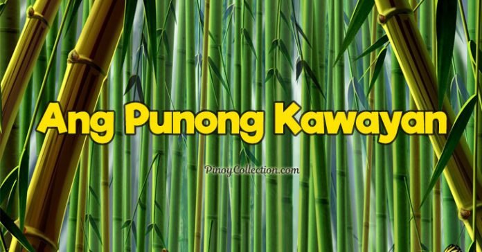Ang Punong Kawayan (Maikling Kwento) - Pinoy Collection